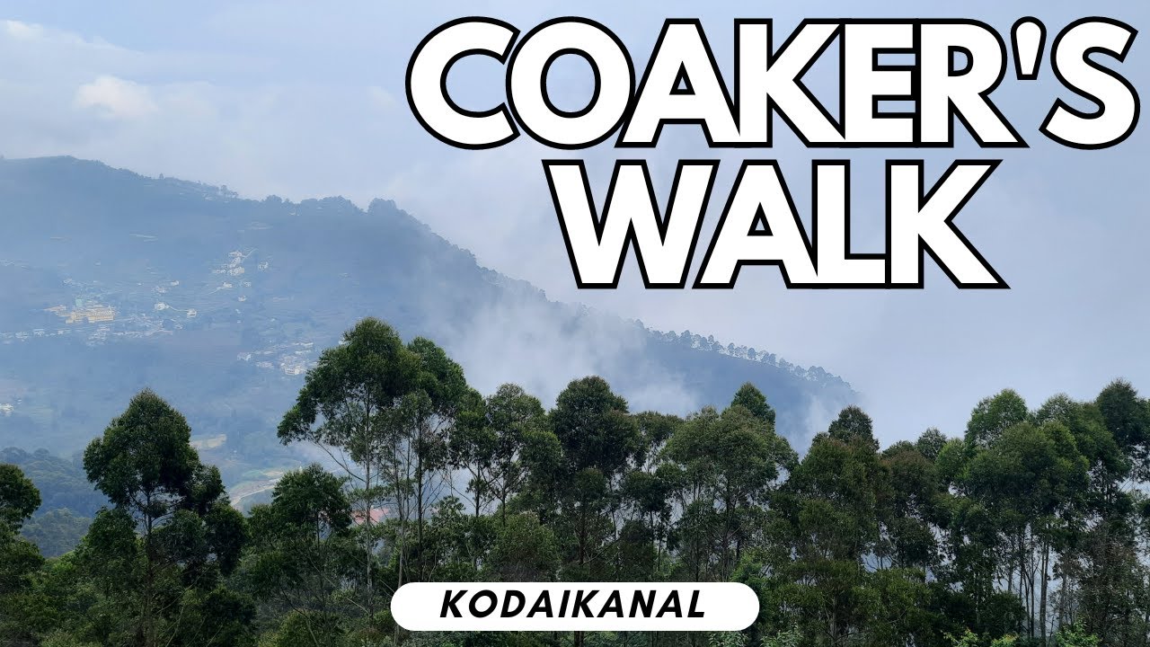 Coakers Walk