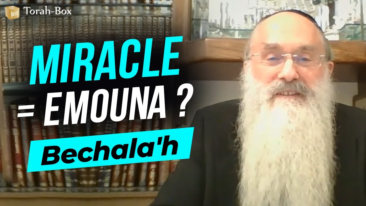 👼 D’OÙ VIENNENT LES MIRACLES ? RAV ERRERA D'AIX-LES-BAINS NOUS EXPLIQUE ...