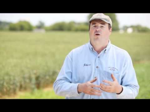 Welcome to Colby Homestead Farms - YouTube