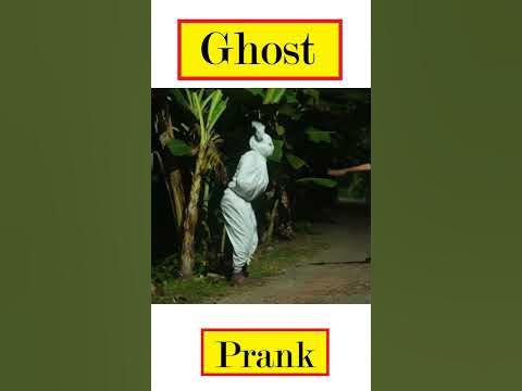 SCARY NIGHT GHOST PRANK ON DOG AT 2AM #funny #ghostreaction #comedy # ...