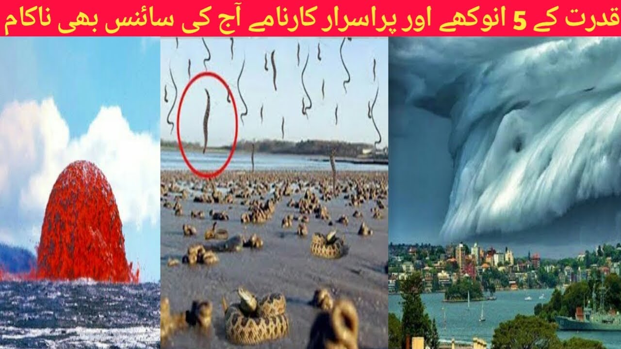 5 Most Dangerous Natural Phenomena In The World Caught On Camera That ...