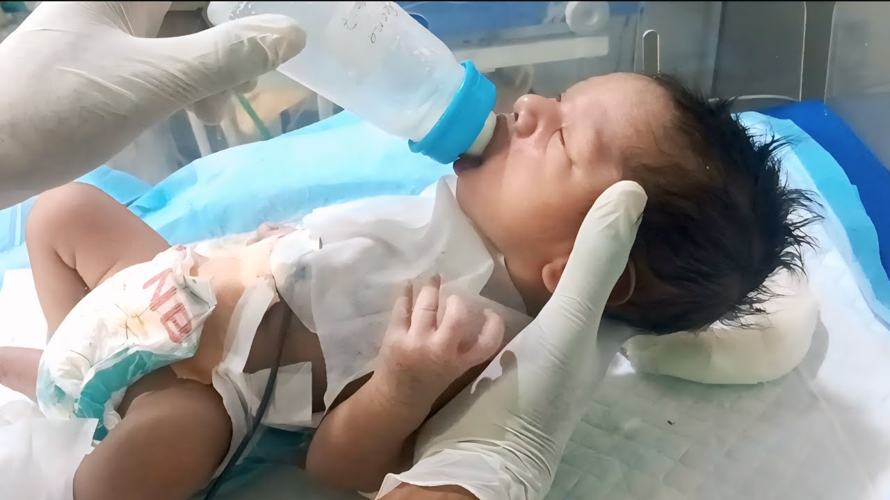 Cute Adorable Baby feeding Moments 💕💖 || In NICU 😻 Nurse Feeding With ...