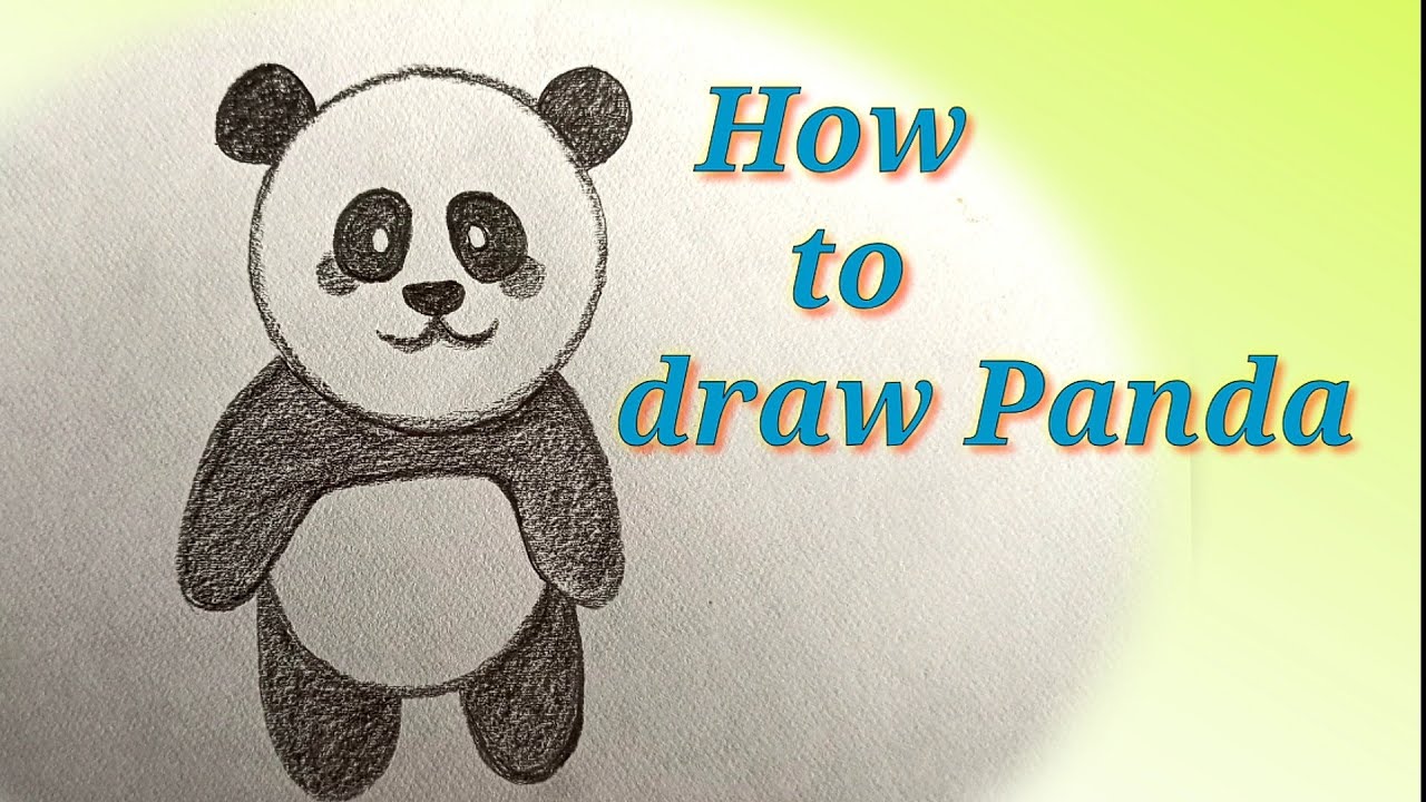 How to draw Panda | How to draw Cute Panda Bear Drawing | Panda Drawing ...