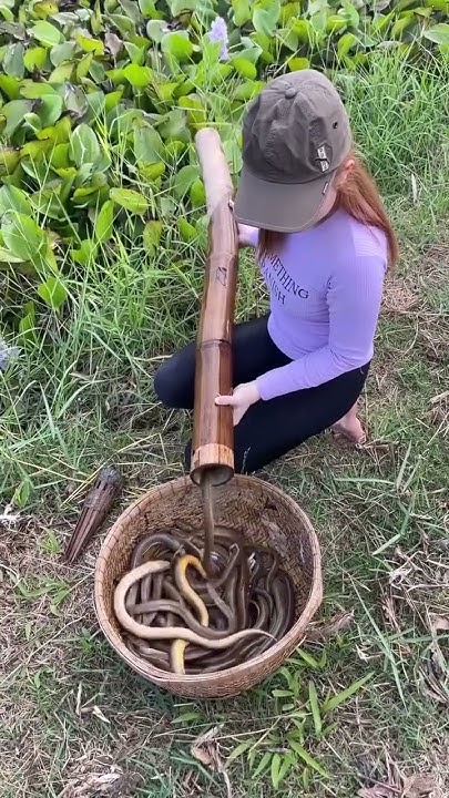 Amazing Eel Trapping Technique To Catch Giant Eels Fish - YouTube