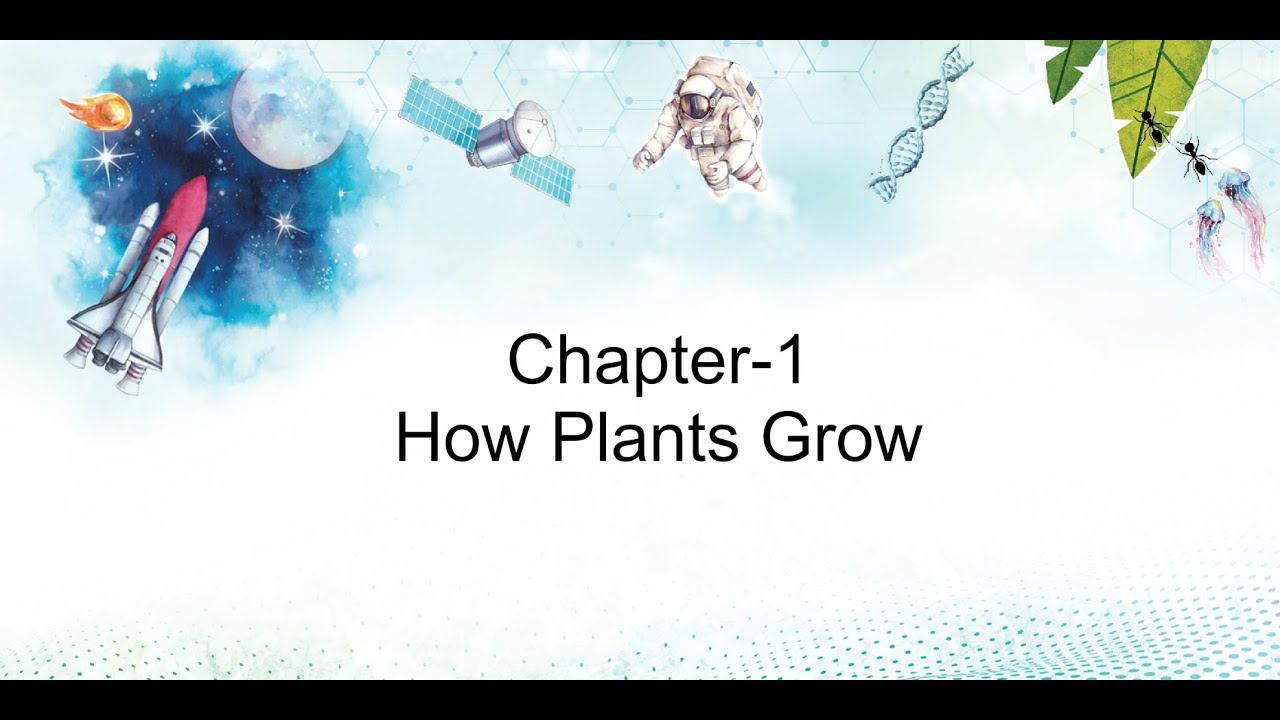 SCIENCE OUTLOOK 5 : Chapter 1 - How Plants Grow - YouTube