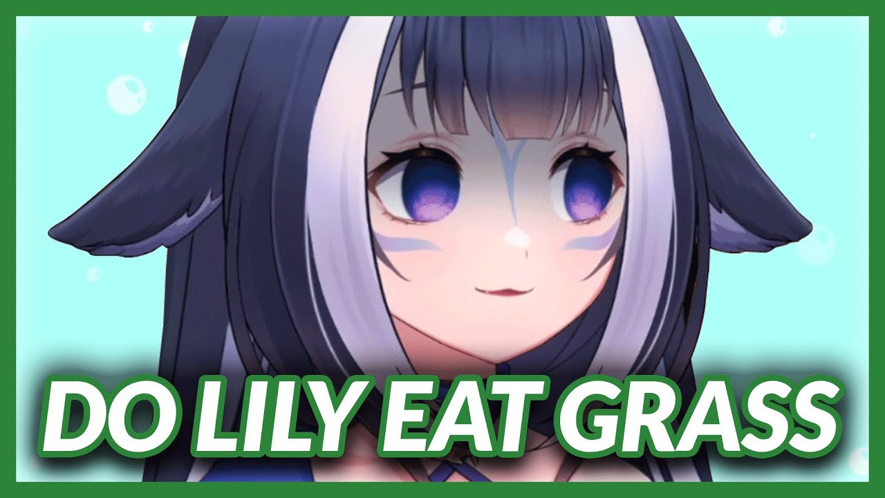 Lily was not pleased about this meme - YouTube