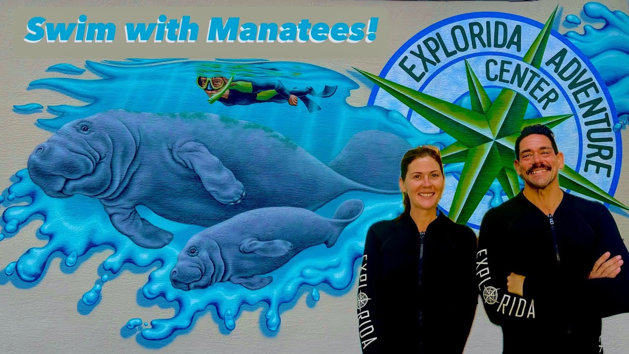 🤿Crystal River Manatee Tour | Swimming with Manatees in Florida with ...
