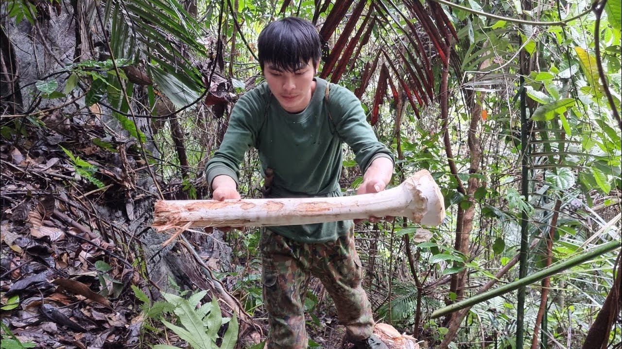 survival alone, survival instincts, skills, foraging in the wilderness ...