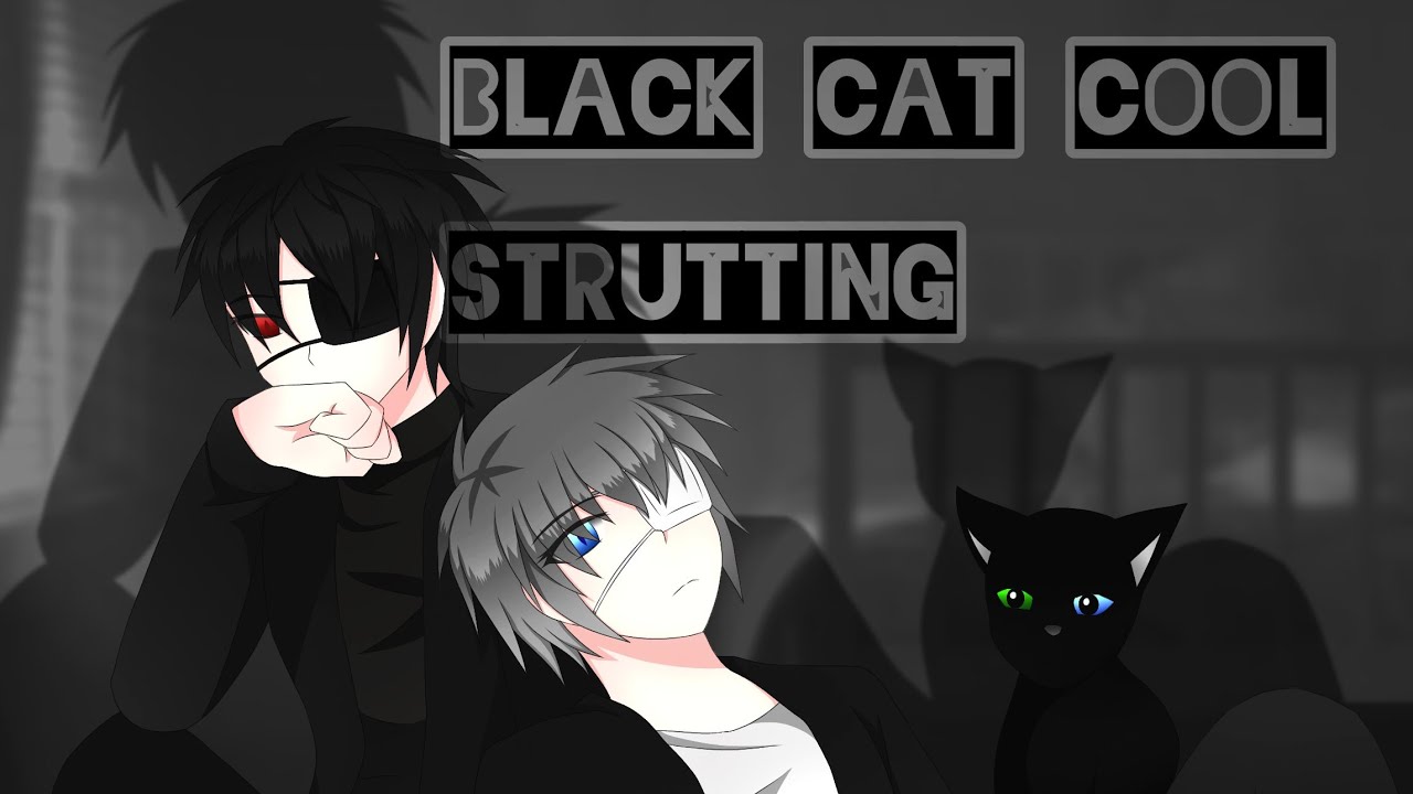 [VAMPIRE BL SHORT STORY] A BLACK CAT COOL STRUTTING 🐈 - YouTube