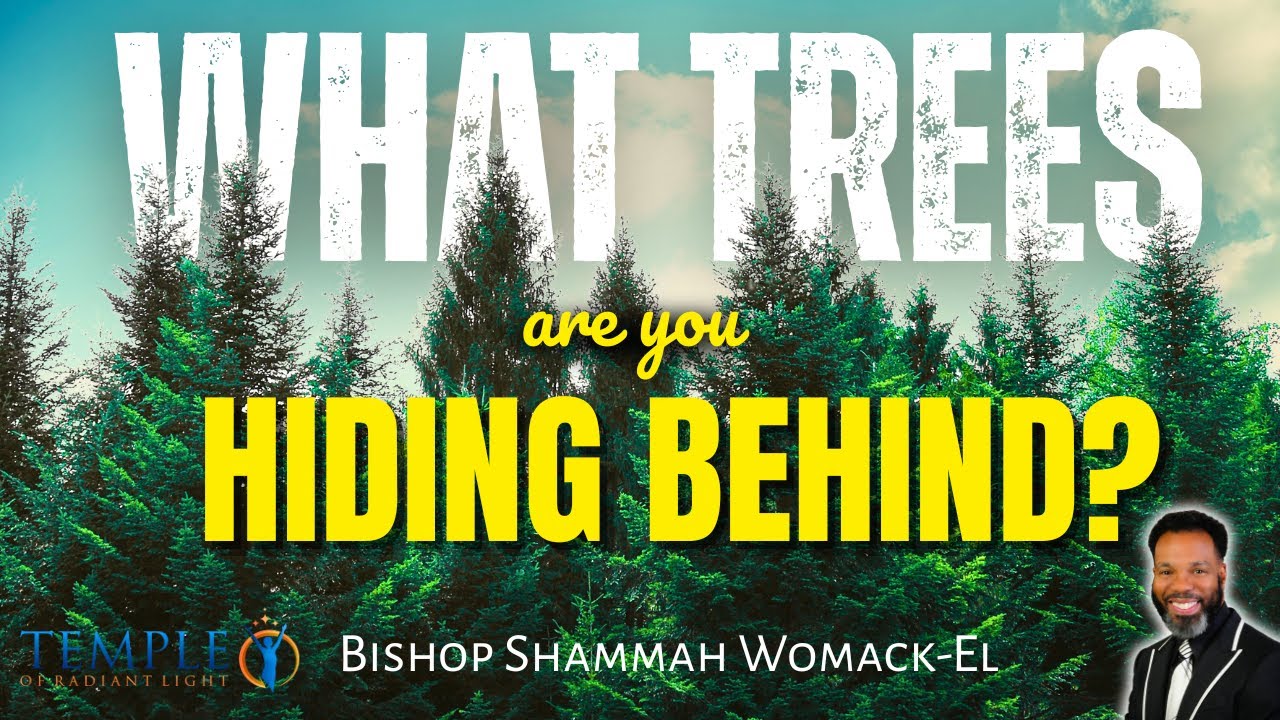 What Trees are You Hiding Behind. - YouTube