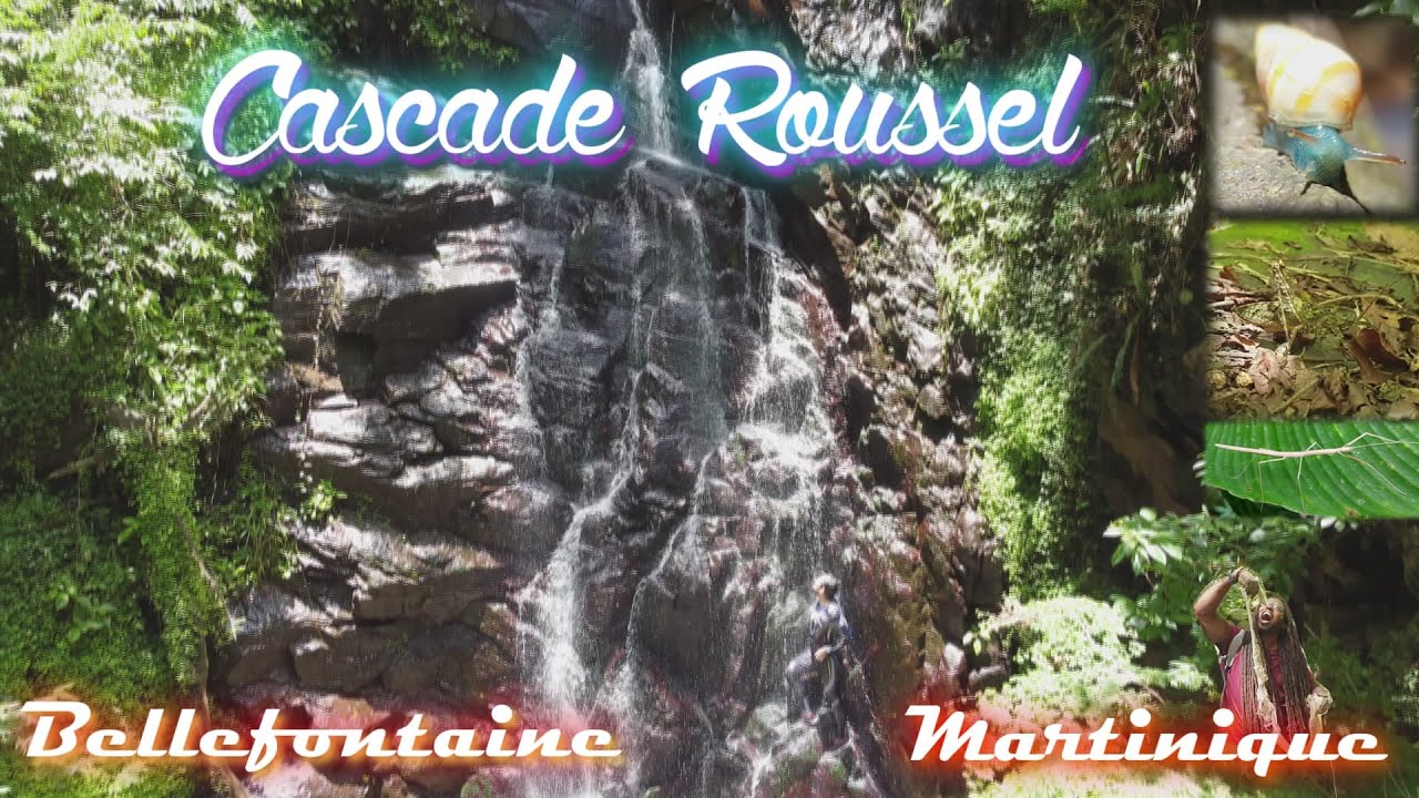 Cascade Roussel - Bellefontaine - Martinique - YouTube