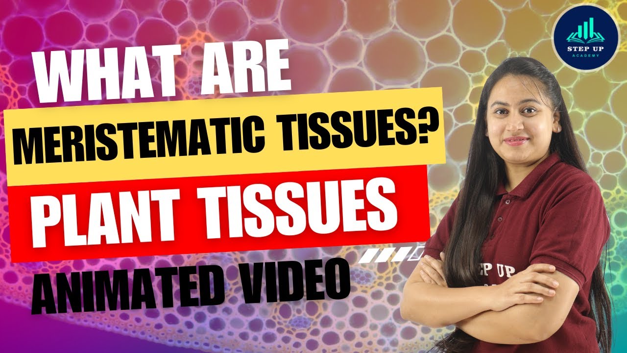 What are Meristematic Tissues? | Plant Tissues - Class 9 Biology ...