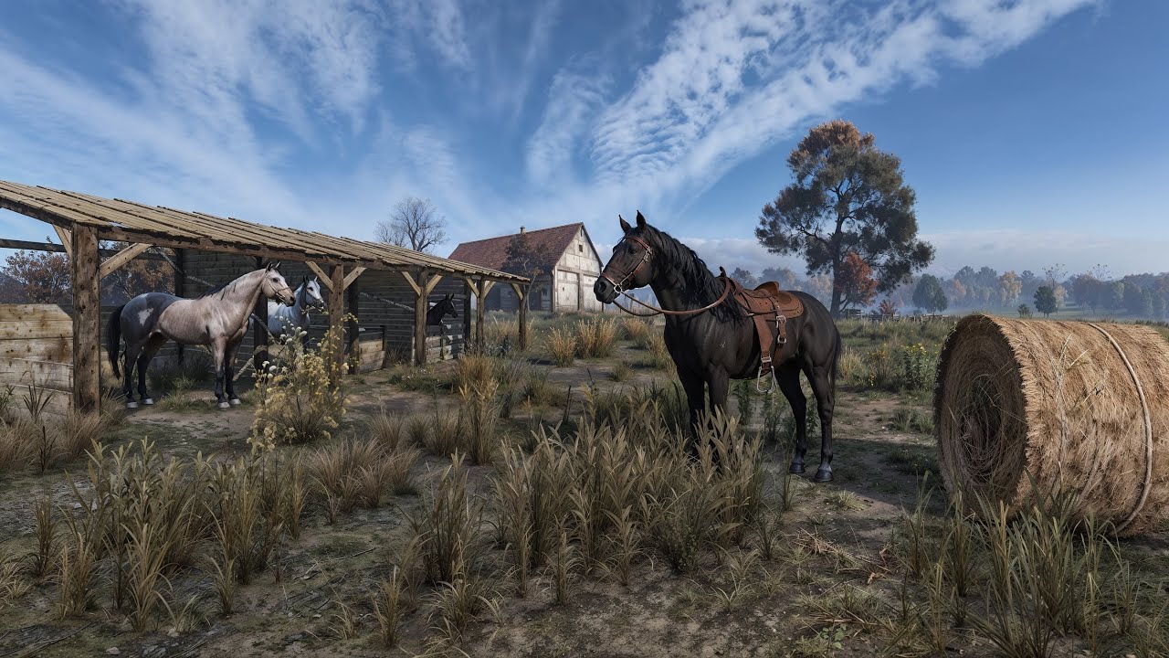 DayZ Apocalypse HORSE - YouTube