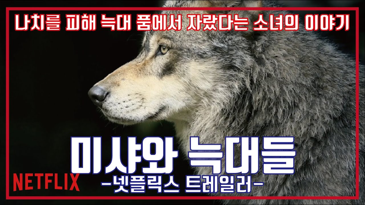 미샤와 늑대들 예고편, Misha and the Wolves Trailer - YouTube