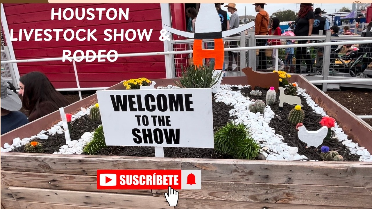 World's Biggest Rodeo Show | Houston Livestock Show & Rodeo 2024 ...