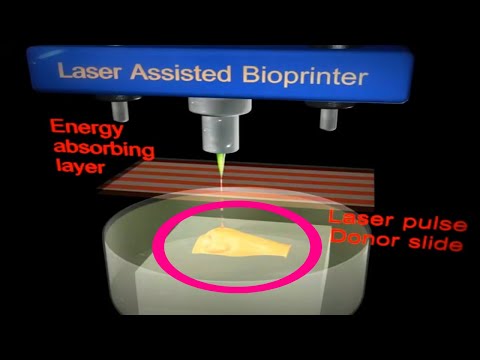 Laser Assisted Bioprinter - YouTube