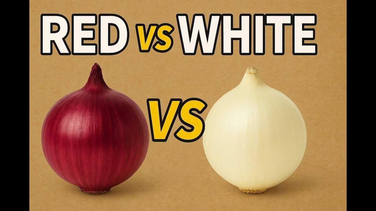 RED ONION vs WHITE ONION: The ULTIMATE Guide | Taste, Nutrition ...