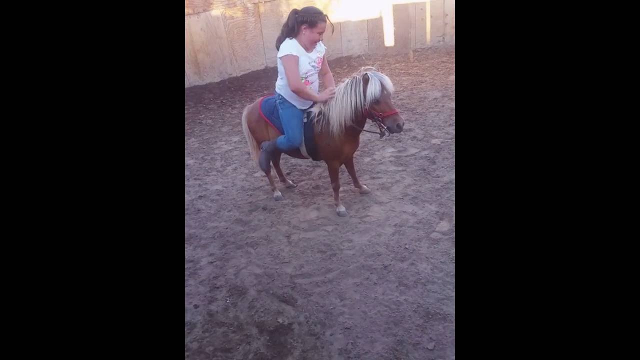 Pony riding lesson surielah - YouTube