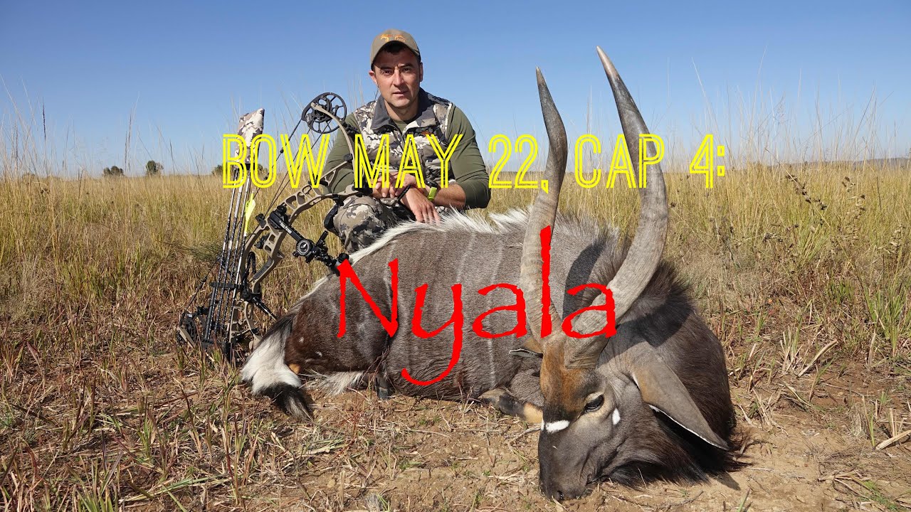 Africa Bow hunting: Nyala. Cap 4 Hoyt Ventum pro, onca gear. - YouTube