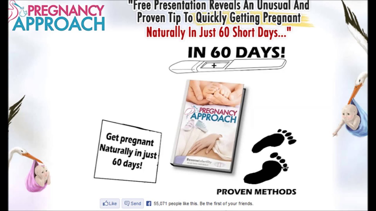 Pregnancy Approach - A 60 Day Pregnancy Guide - YouTube
