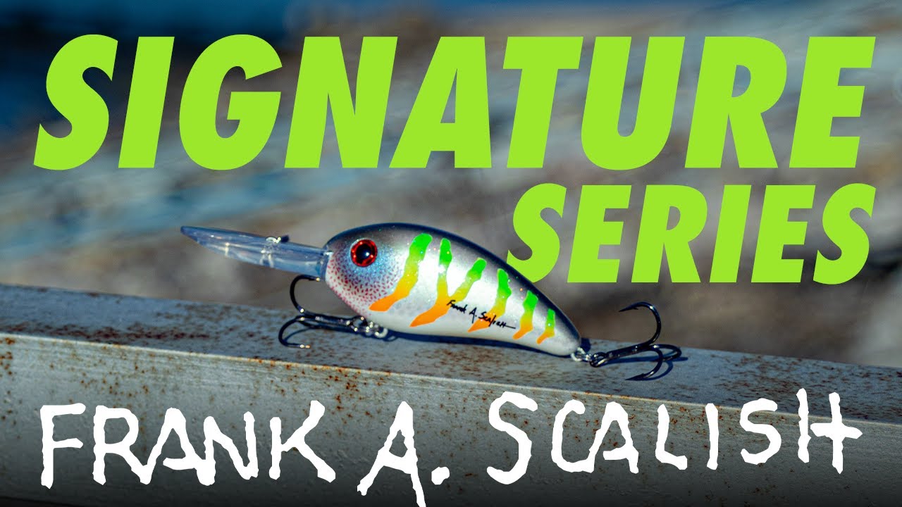 March Exclusive Bomber Fat Free Shad in Tiger Shad: Frank Scalish ...