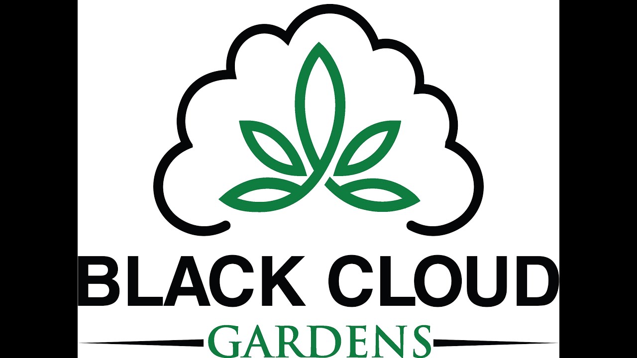 Low Stress Training wk2 - YouTube