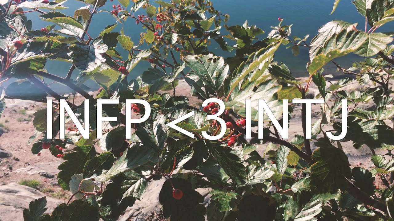 MBTI // An INFP who loves an INTJ poem - YouTube