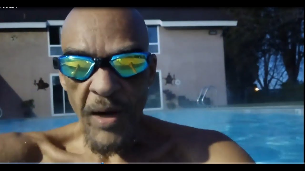 Polar Bear Early Morning Pool Swim Minus Forty Degrees - YouTube