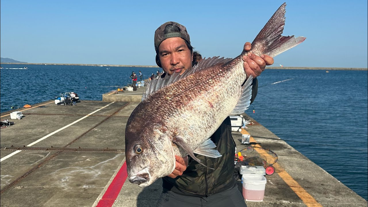 Long cast fishing/bait n’ wait/カゴ釣り - YouTube