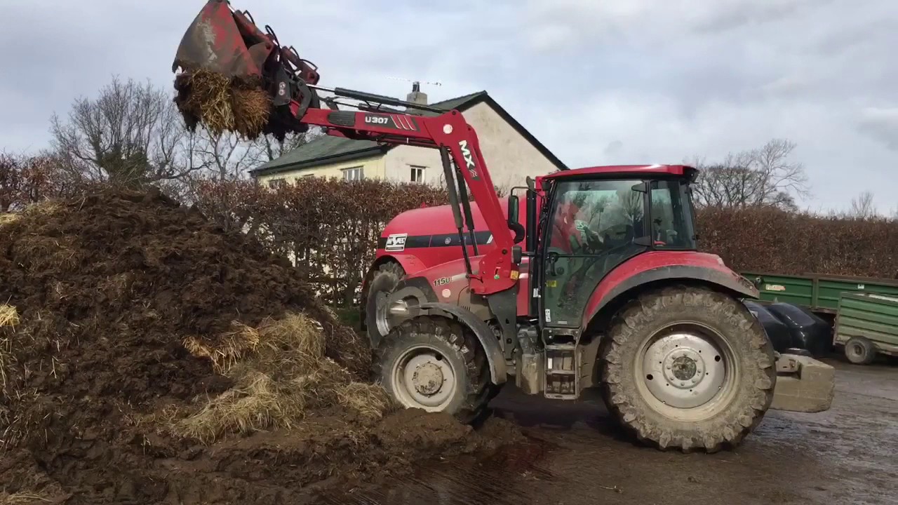 Scraping and mucking out. - YouTube