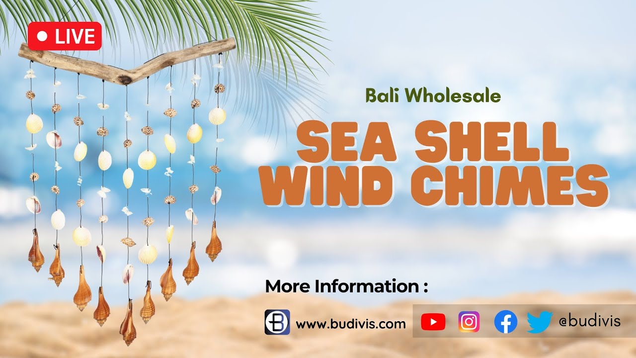 Seashell Wind Chime - YouTube