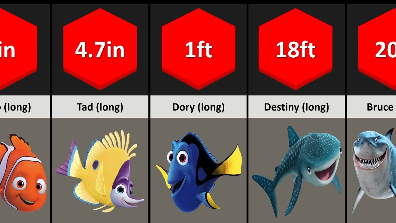 Comparison: Biggest Characters of Finding Nemo | Finding Nemo Size ...