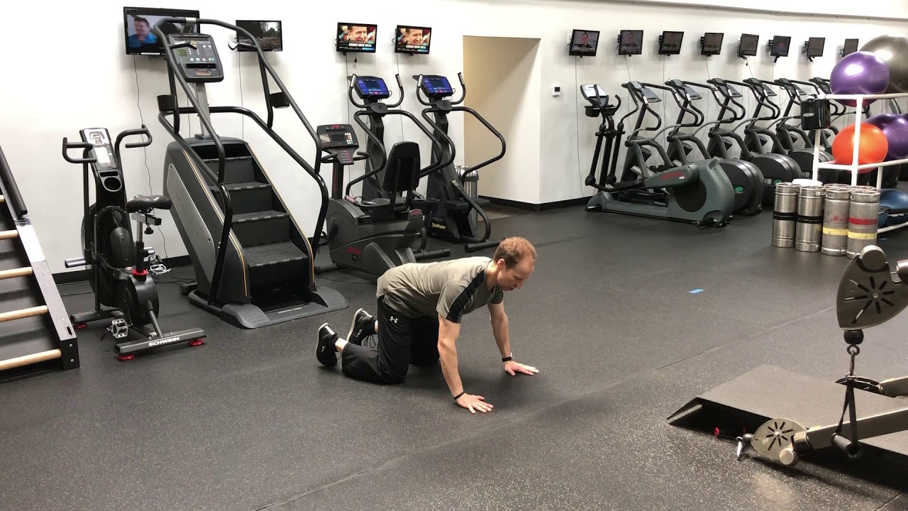 Pelvic Tilt to Split Squat Transition - YouTube