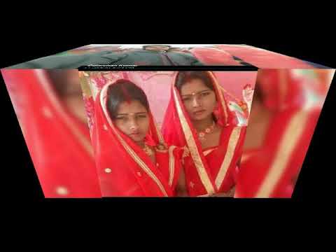 Laik video