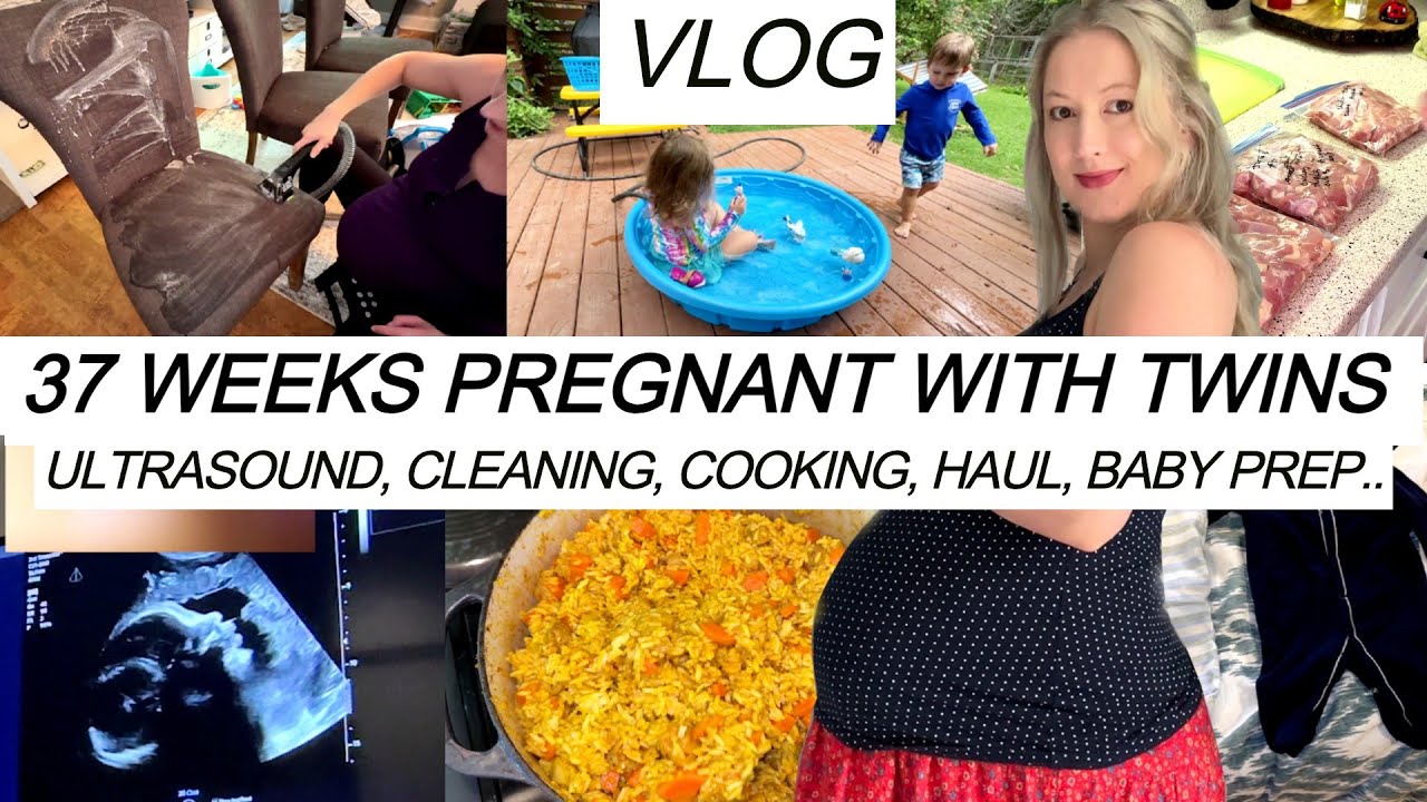 Pregnant With Twins Vlog Youtube 7337