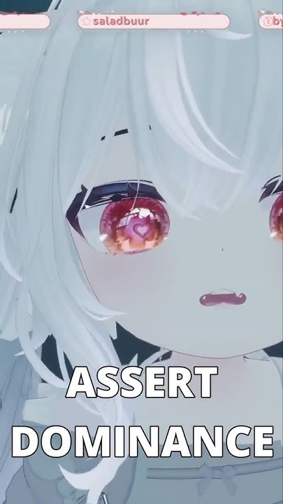 ASSERT DOMINANCE - YouTube