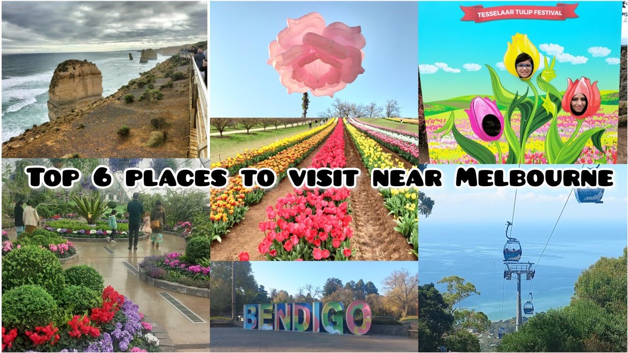 Top 6 Day outing places near Melbourne| Places to visit near Melbourne ...