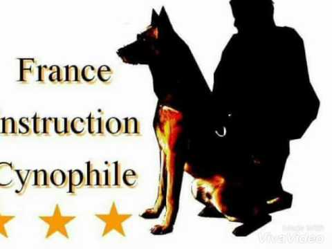 France Instruction Cynophile - YouTube