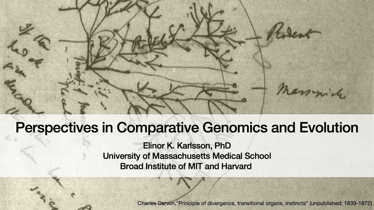 Perspectives in Comparative Genomics and Evolution - YouTube