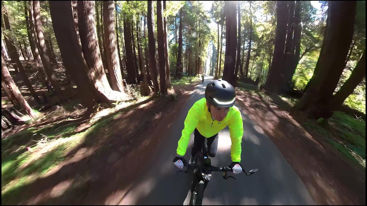 eBike Ride from San Gregorio General Store through Pescadero to Butano ...