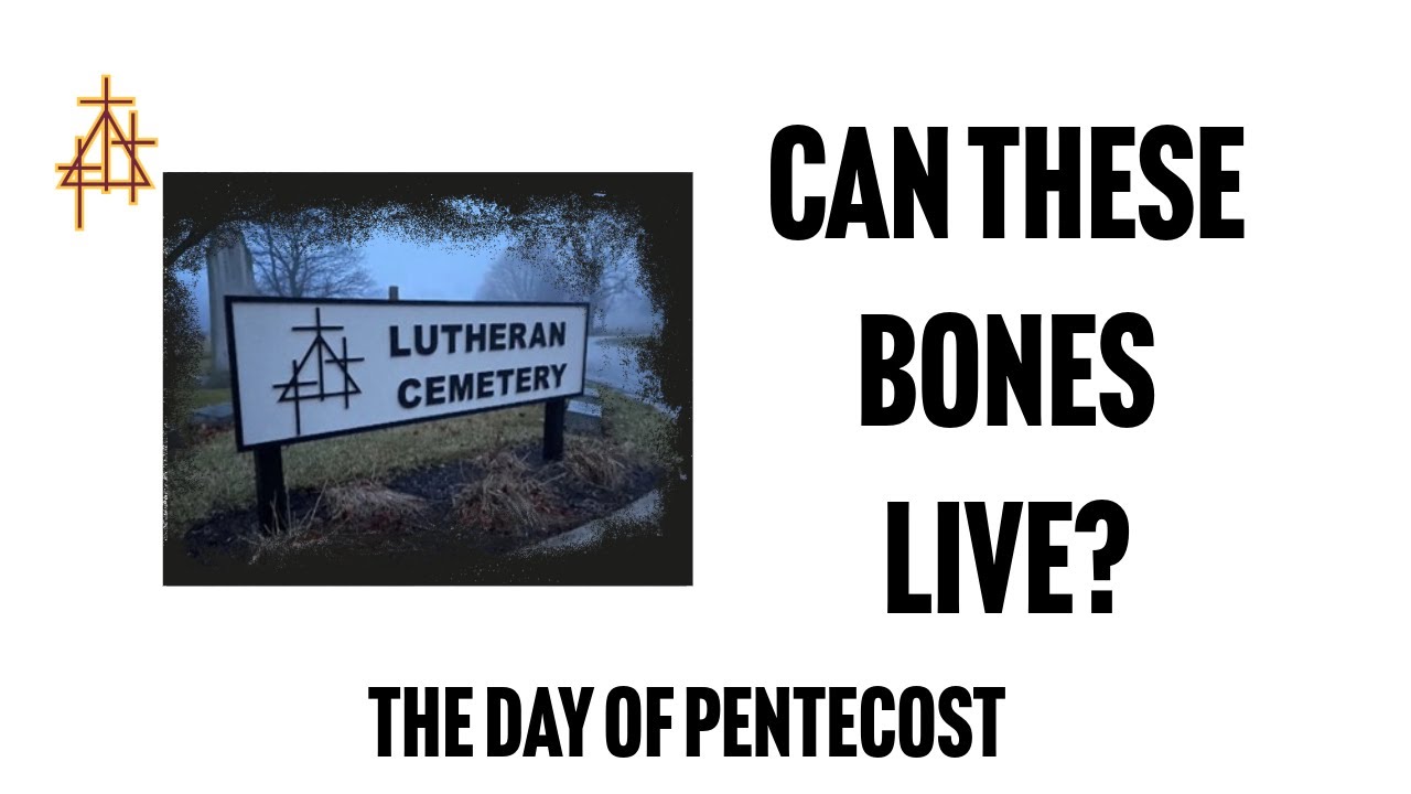 Bible Study: Can These Bones Live? | Ezekiel 37:1-14 | The Valley of ...