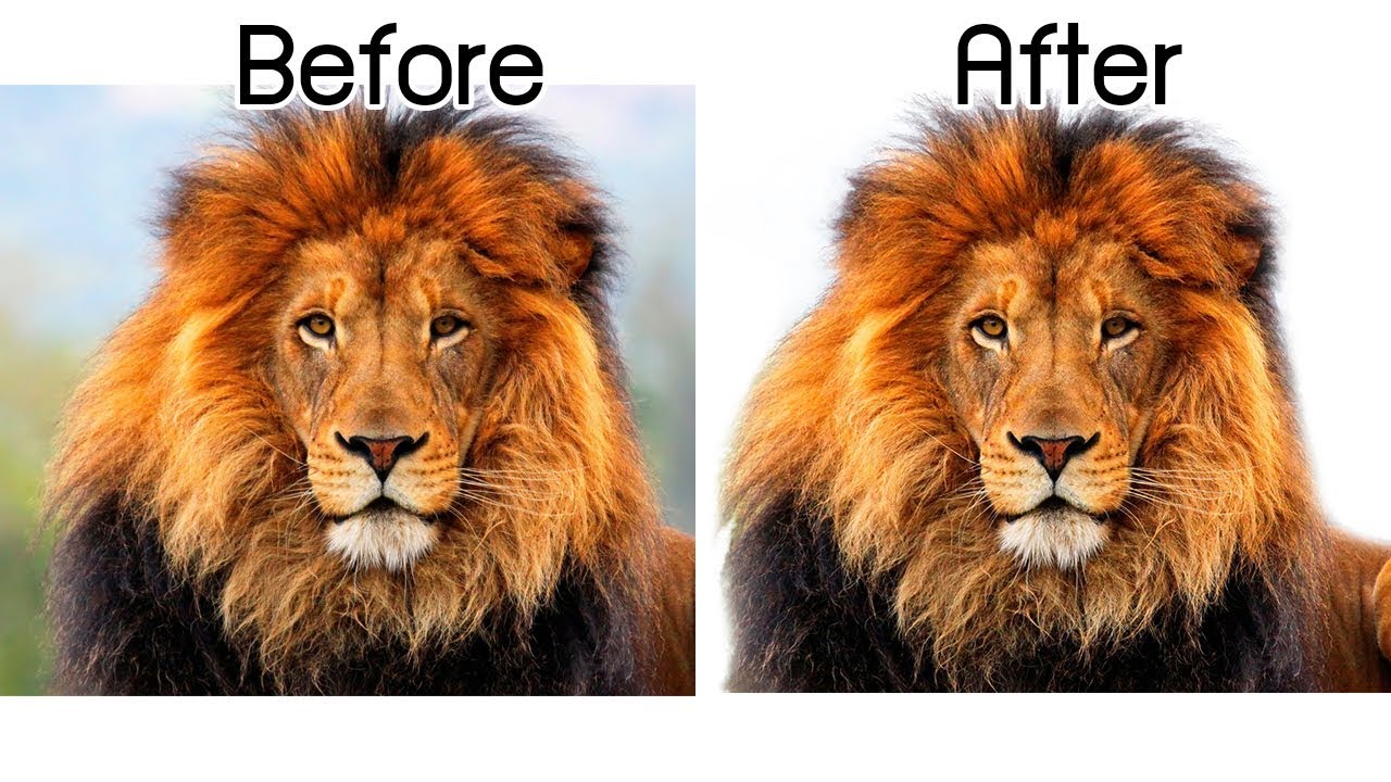 Color Range Photoshop YouTube Color Range Photoshop YouTube