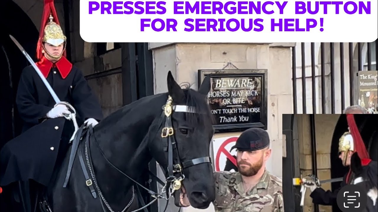 KING'S GUARD PRESSES EMERGENCY BUZZER FOR THIS! | Horse Guards, Royal ...