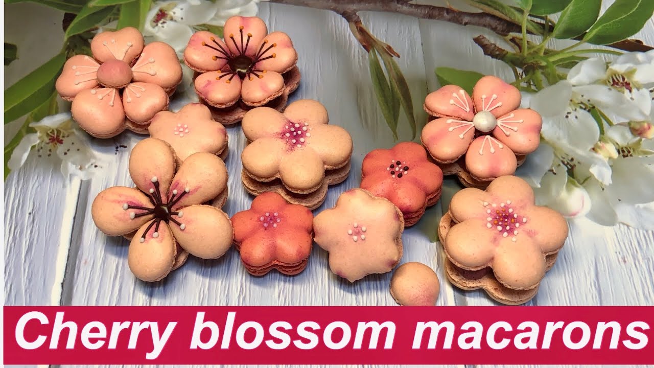 How to make cherry blossom macarons in 3 different ways. 벚꽃 마카롱 - YouTube