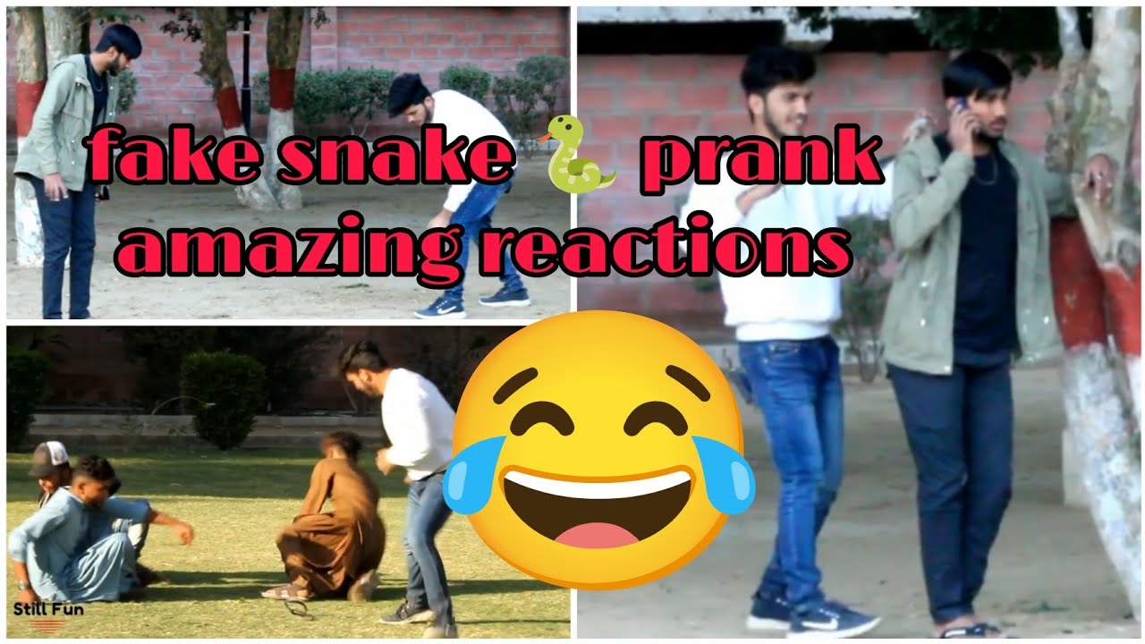fake snake 🐍 prank|| amazing reactions|| team work - YouTube