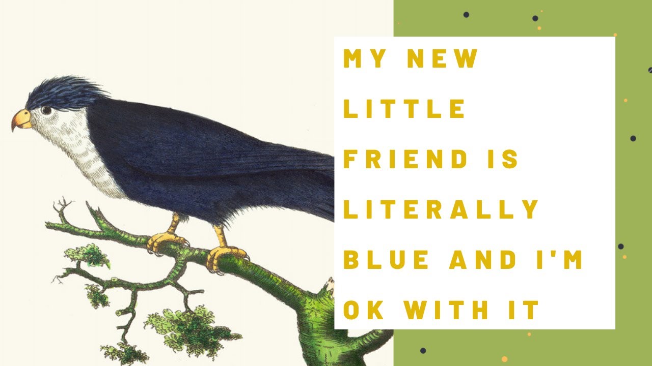 My New Little Friend Is Literally Blue And I'm Ok With It - YouTube
