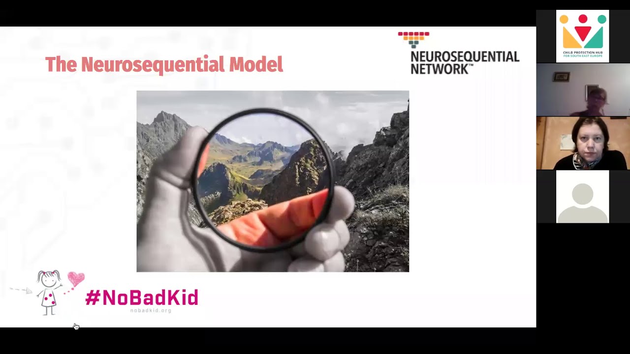 Trauma Informed Care and the Neurosequential Approach - YouTube