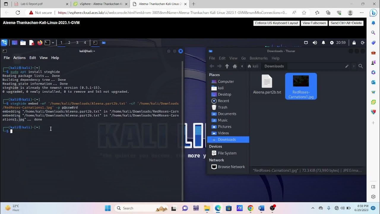 Using Steghide in Kali Linux - YouTube