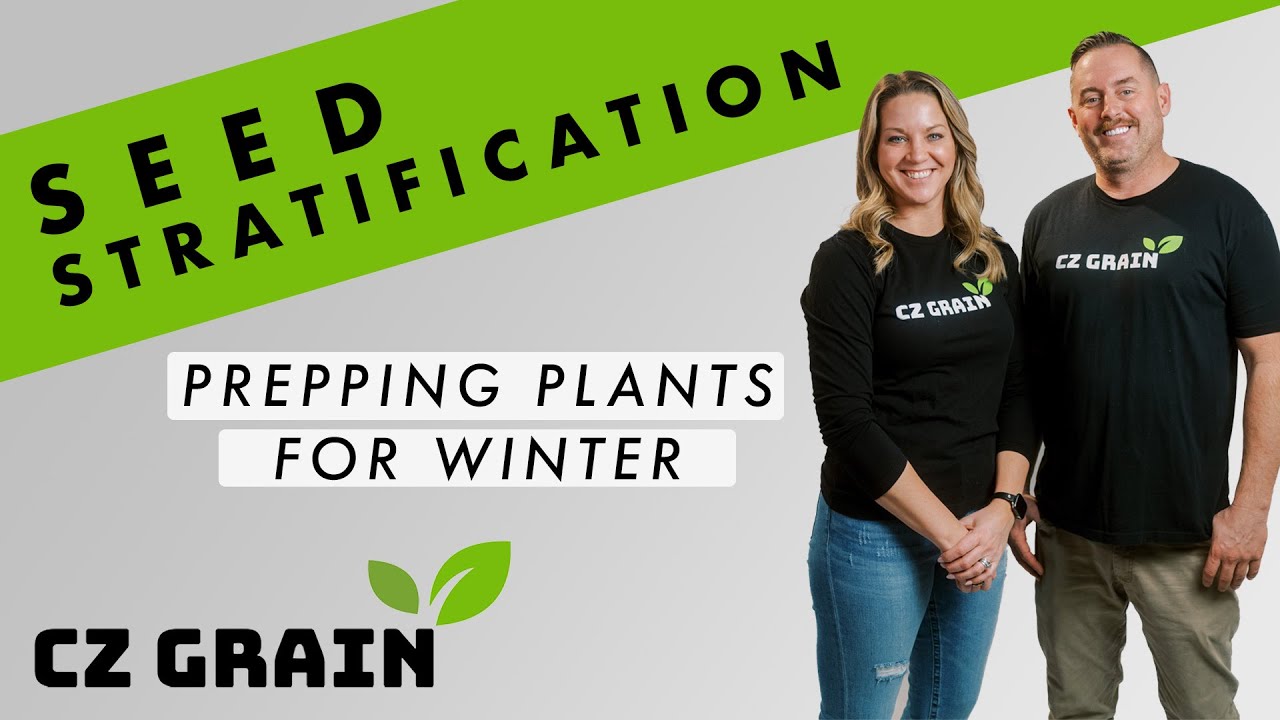 The Secret to Easy Seed Germination and Cold Stratification. John ...