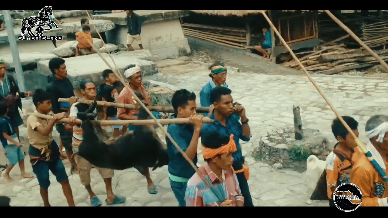 Wulla Poddu (Bulan Suci), Ritual Syukur dan Memohon Berkah Bagi Orang ...